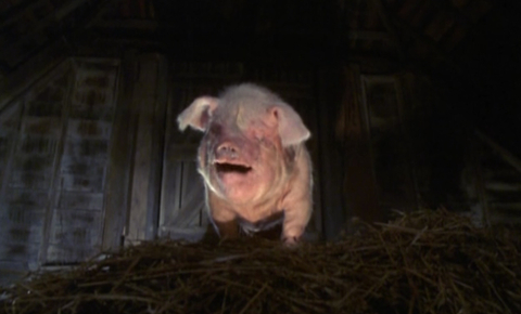 Some Are More Equal Than Others – The Orwellian “Animal Farm” on West ...